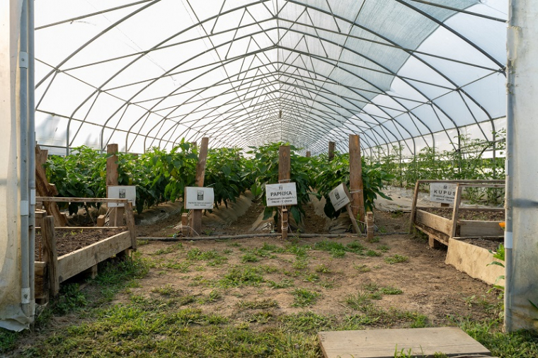 Farma Milo Selo – Farma Milo Selo