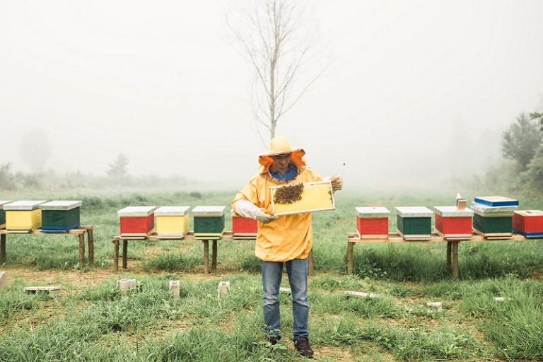 Farma Milo Selo – Farma Milo Selo