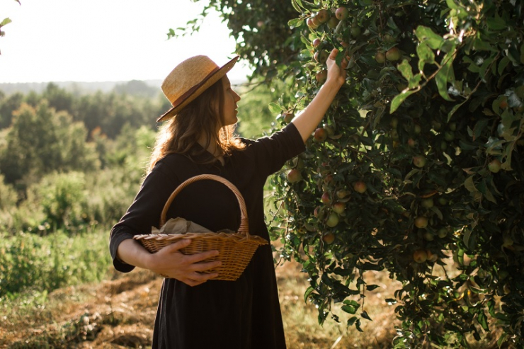Farma Milo Selo – Farma Milo Selo