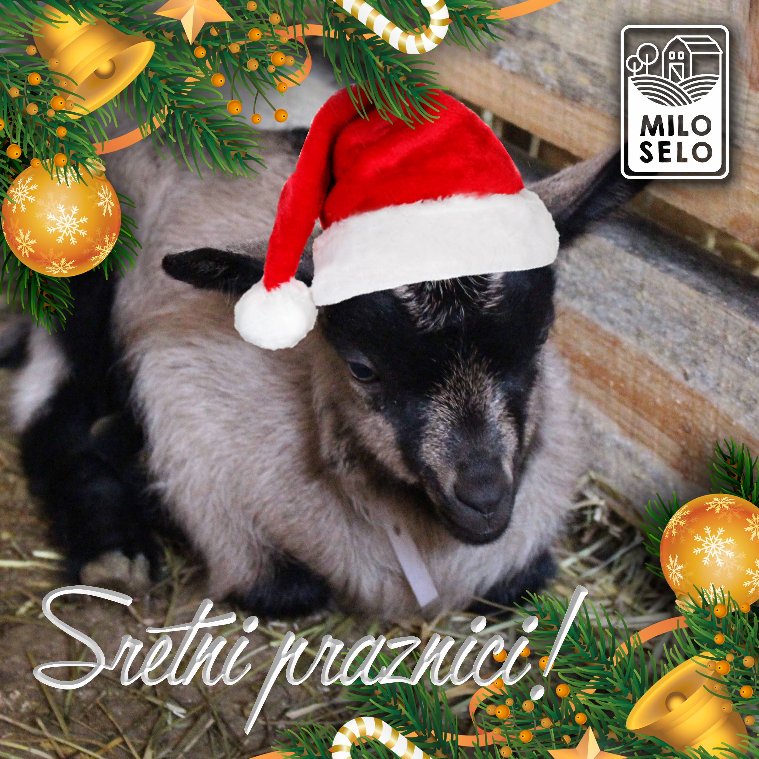 Sretni praznici! – Farma Milo Selo